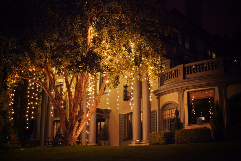 Should I Use String and Globe Lights for My Summer Corporate Event ...